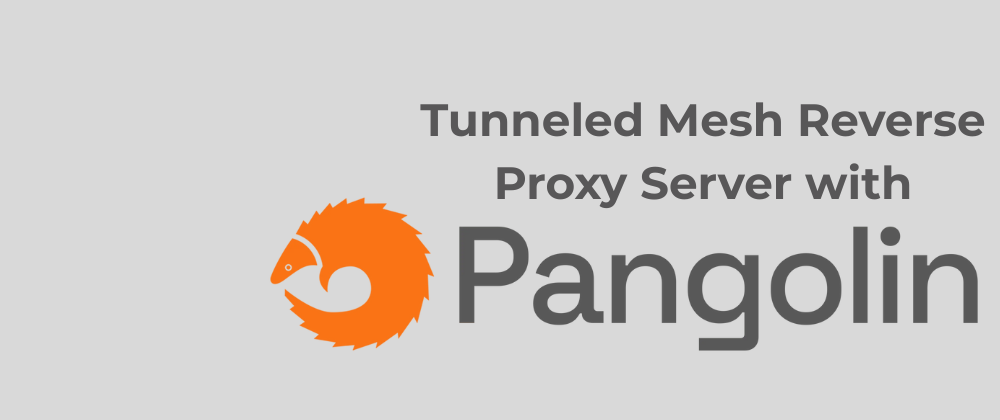 Self-Host Your Own Tunneled Reverse Proxy Server - Pangolin | MAHESH PALAMUTTATH